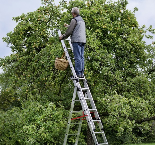 Stegar, Ställningar och Säkerhet